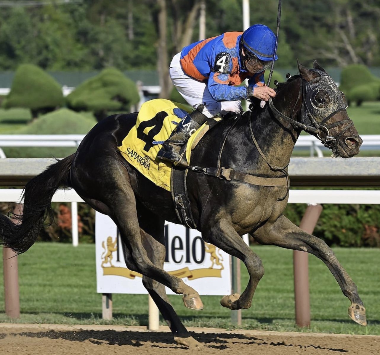 Favorites and Saratoga: Is it Really the Graveyard of Champions ...